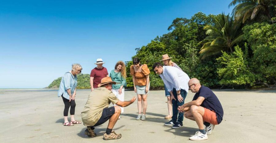 From Cairns: 3-Day Reef, Rainforest, and Outback Package - A Deep Dive into the 3-Day Cairns Tour