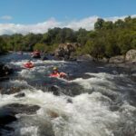 From Cairns and Northern Beaches: Rainforest River Tubing - Who Will Love This Tour?