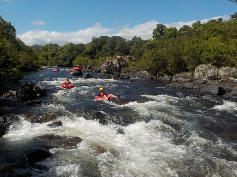 From Cairns and Northern Beaches: Rainforest River Tubing - Who Will Love This Tour?