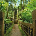 From Cairns: Atherton Tablelands and Paronella Park Day Trip - Authentic Experiences: What Travelers Say