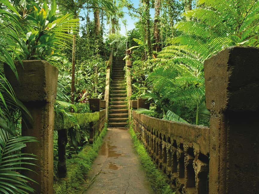 From Cairns: Atherton Tablelands and Paronella Park Day Trip - Authentic Experiences: What Travelers Say