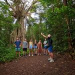From Cairns: Atherton Tablelands Eco-Adventure & Swim Tour - Why This Tour Offers Great Value