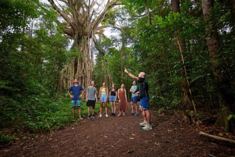 From Cairns: Atherton Tablelands Eco-Adventure & Swim Tour - Why This Tour Offers Great Value