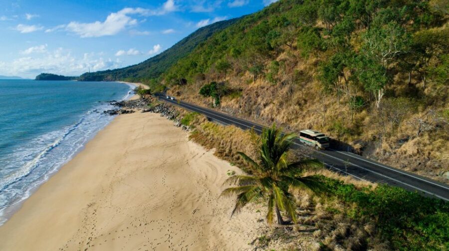 From Cairns: Daintree Rainforest & Cape Tribulation 4WD Tour - What Travelers Say: Authentic Feedback