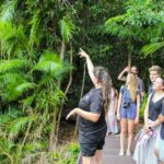 From Cairns: Daintree Wilderness & Cape Tribulation Bus Tour - Wildlife Habitat Experience
