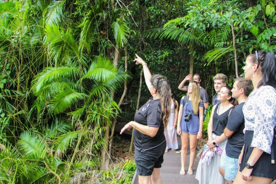 From Cairns: Daintree Wilderness & Cape Tribulation Bus Tour - Wildlife Habitat Experience