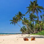From Cairns: Dunk Island Day Tour - The Value Proposition - Is It Worth It?