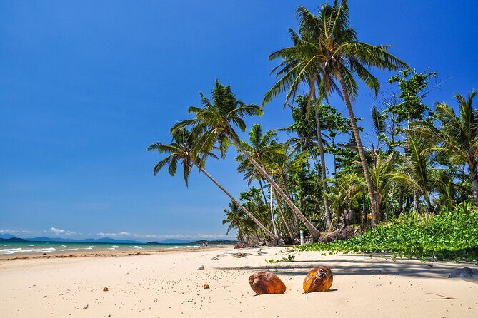 From Cairns: Dunk Island Day Tour - The Value Proposition - Is It Worth It?