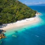 From Cairns: Fitzroy Island Day Trip by Ferry - An In-Depth Look at the Fitzroy Island Day Trip
