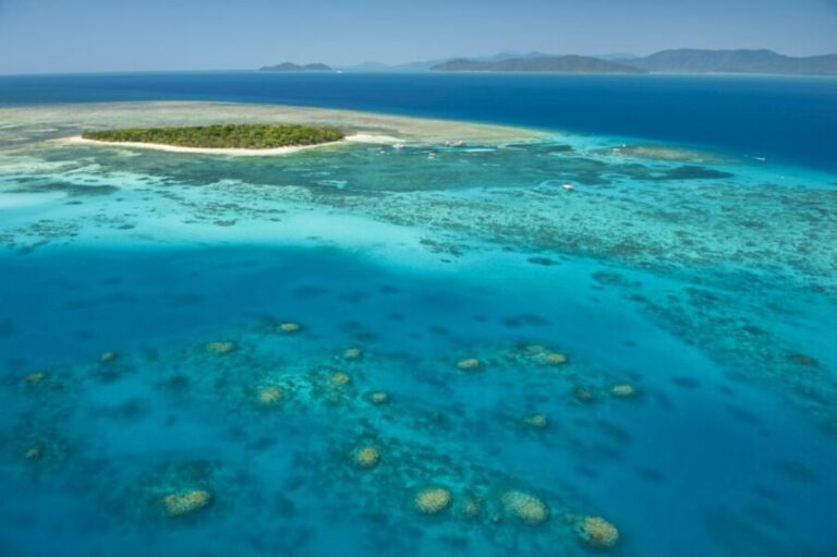 From Cairns: Full-Day Green Island Cruise - The Itinerary: What Comes with This Tour?