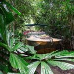 From Cairns: Full-Day Kuranda Army Duck Experience Tour - The Detailed Itinerary: What Youll Actually Do