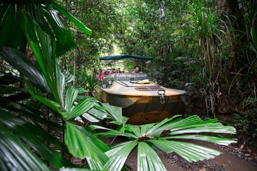 From Cairns: Full-Day Kuranda Army Duck Experience Tour - The Detailed Itinerary: What Youll Actually Do