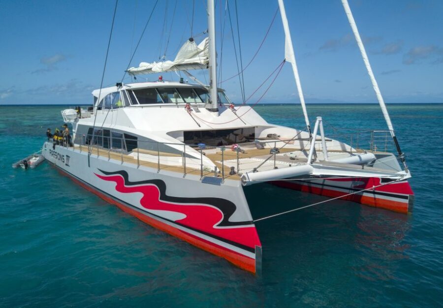 From Cairns: Great Barrier Reef Cruise by Premium Catamaran - The Value of This Reef Tour