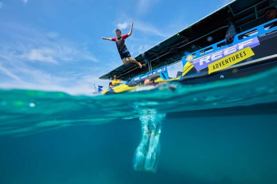 From Cairns: Great Barrier Reef Half-Day Snorkeling Tour - The Experience: Not Just Snorkeling
