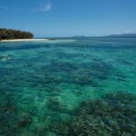 From Cairns: Half-Day Afternoon Cruise to Green Island - The Itinerary Breakdown
