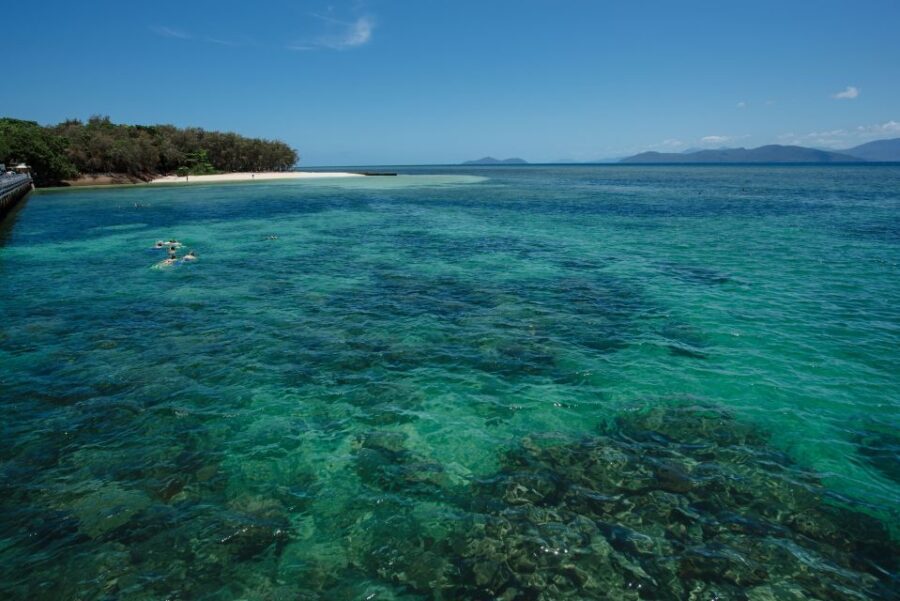 From Cairns: Half-Day Afternoon Cruise to Green Island - The Itinerary Breakdown
