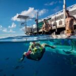 From Cairns: Moore Reef, Fitzroy Island Tour with Helicopter - The Real Value of the Experience