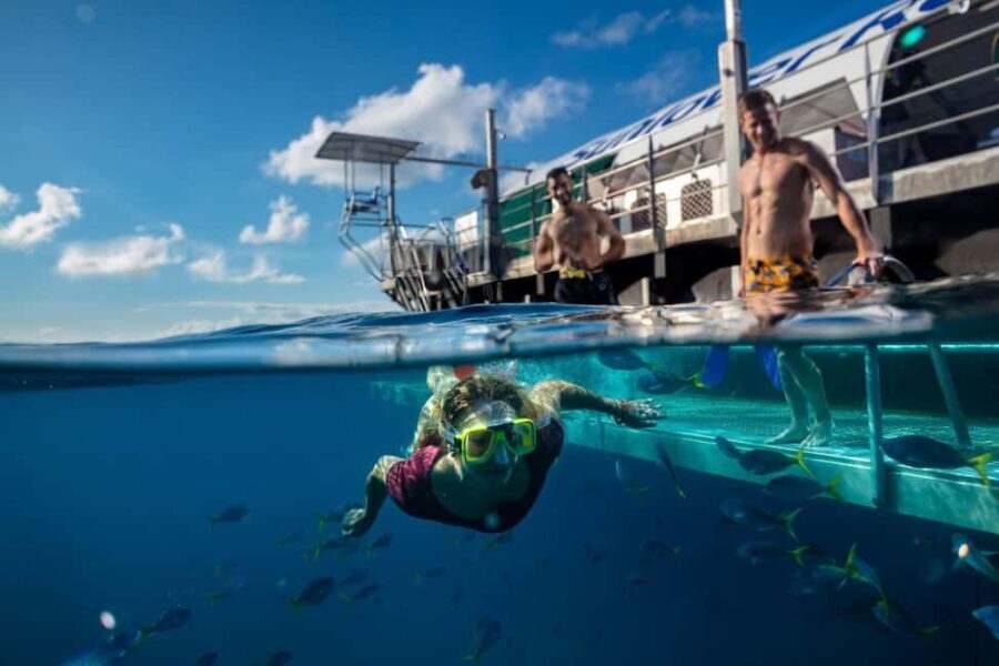 From Cairns: Moore Reef, Fitzroy Island Tour with Helicopter - The Real Value of the Experience