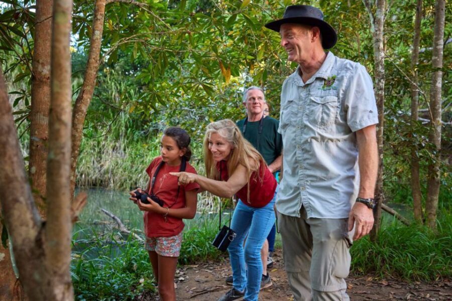 From Cairns: Rainforest & Nocturnal Wildlife Tour - The Value of This Tour
