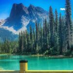 From Calgary Banff and Yoho National Park and Lake Louise Tour - Who Will Love This Tour?