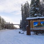 From Calgary/Banff/Canmore: Rockies Day Trip with Icefield - What’s Included, What’s Not