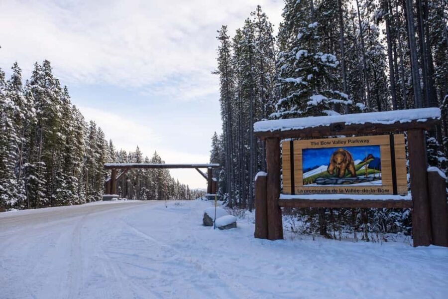 From Calgary/Banff/Canmore: Rockies Day Trip with Icefield - What’s Included, What’s Not