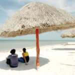 From Campeche: Flamingo Private Tour - The Practical Details and Value