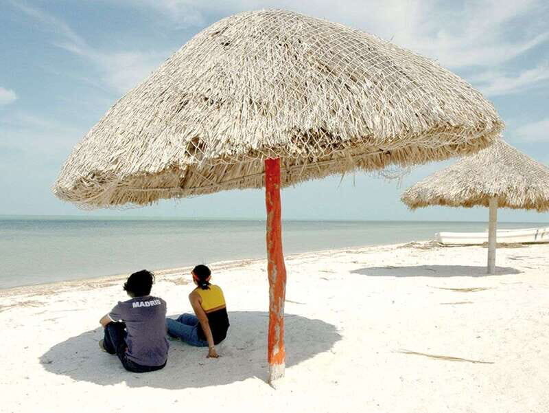 From Campeche: Flamingo Private Tour - The Practical Details and Value