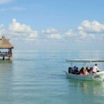 From Campeche: Isla Aguada Dolphin Encounter Tour - FAQ about the Isla Aguada Dolphin Encounter Tour