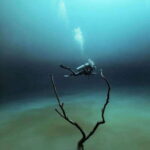 From Cancun: Angelita and Taj Ma Ha Cenote Diving Experience - Why Angelita and Taj Ma Ha Are Special