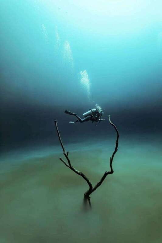 From Cancun: Angelita and Taj Ma Ha Cenote Diving Experience - Why Angelita and Taj Ma Ha Are Special