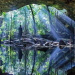 From Cancun: Chikin Ha Cenote Diving Experience - Exploring the Cenote: A Visual Feast