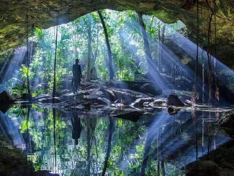 From Cancun: Chikin Ha Cenote Diving Experience - Exploring the Cenote: A Visual Feast