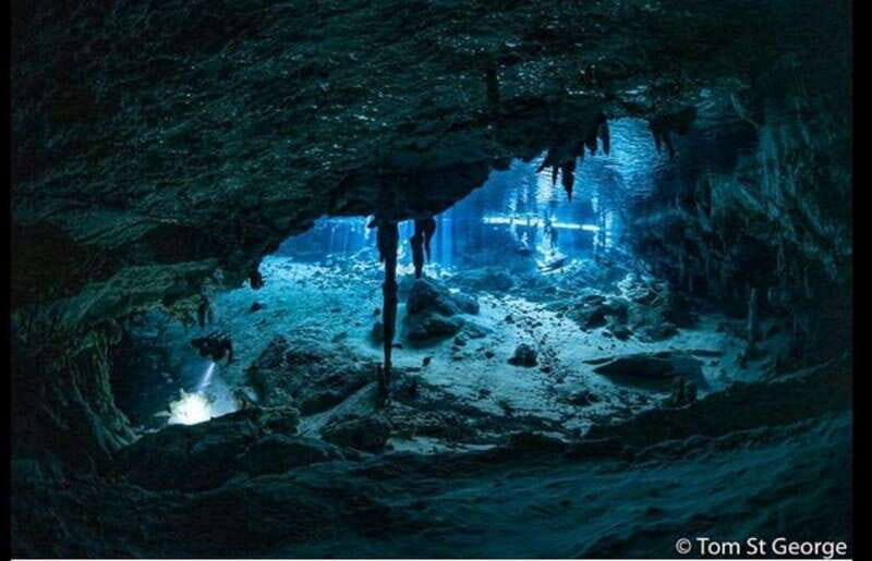 From Cancun: Dos Ojos Cenote Diving Experience - Who Will Love This Tour?