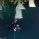 From Cancun: Fast Boat Cozumel Diving Experience - What to Expect on the Tour