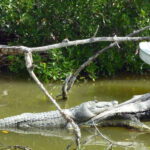 From Cancun: Kantemó Snake Cavern Adventure - What Makes This Tour Stand Out