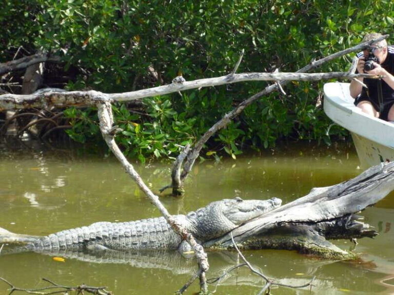 From Cancun: Kantemó Snake Cavern Adventure