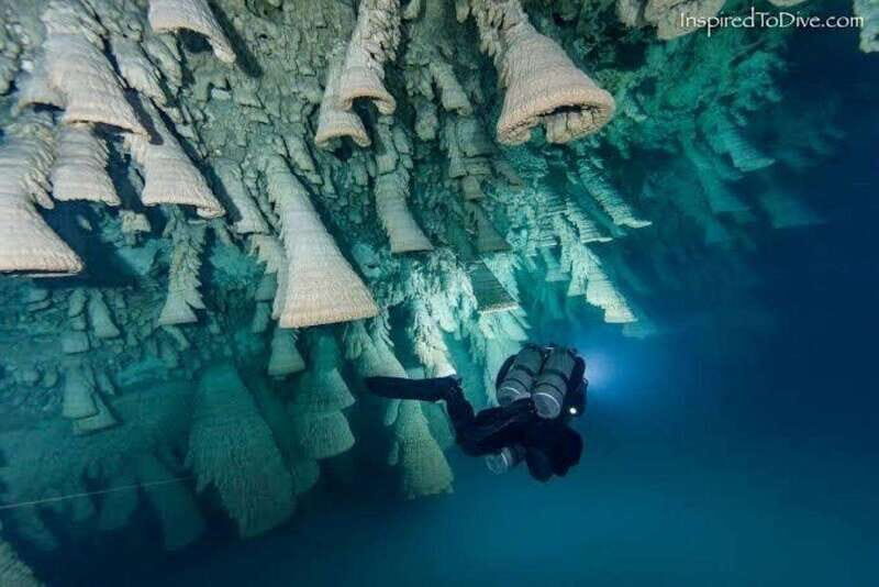 From Cancun: Kin Ha & Hell's Bells Cenote Diving Experience - Who Should Consider This Tour?