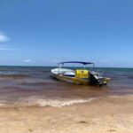 From Cancun: Ocean Reef Snorkeling - The Marine Life and Reef Snorkeling