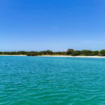 From Cancún: Rio Lagartos & Las Coloradas Day Trip & Lunch - Detailed Breakdown of the Itinerary