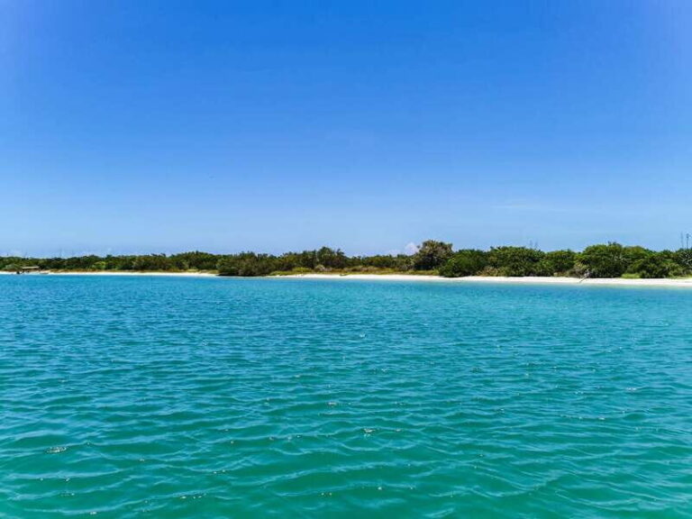 From Cancún: Rio Lagartos & Las Coloradas Day Trip & Lunch - Detailed Breakdown of the Itinerary