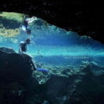 From Cancun: Snorkeling Cozumel Reefs - What Travelers Say