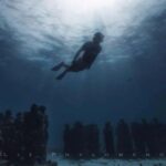 From Cancun: Snorkeling Underwater Museum - What to Expect on the Tour