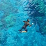 From Cancun: Whale Sharks Snorkeling - Analyzing the Value: What Does $216 Get You?