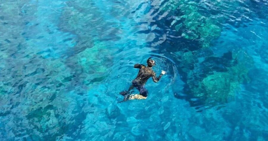 From Cancun: Whale Sharks Snorkeling - Analyzing the Value: What Does $216 Get You?