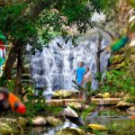 From Cancun: Xcaret Plus Park, the complete experience - Who Should Consider This Tour?