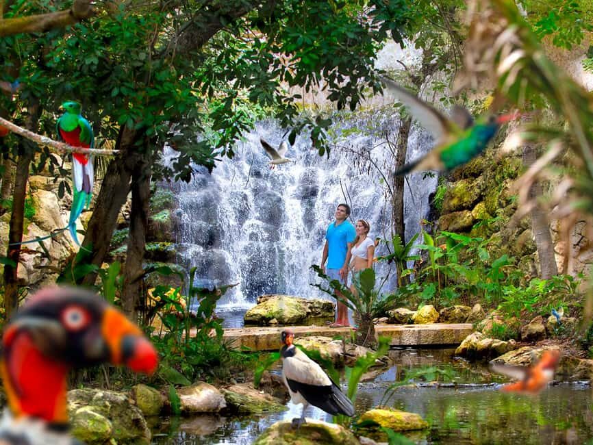 From Cancun: Xcaret Plus Park, the complete experience - Who Should Consider This Tour?