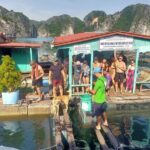 From Cat Ba island: full day boat tour to Lan Ha bay - Ha Long bay - What Makes This Tour Stand Out?