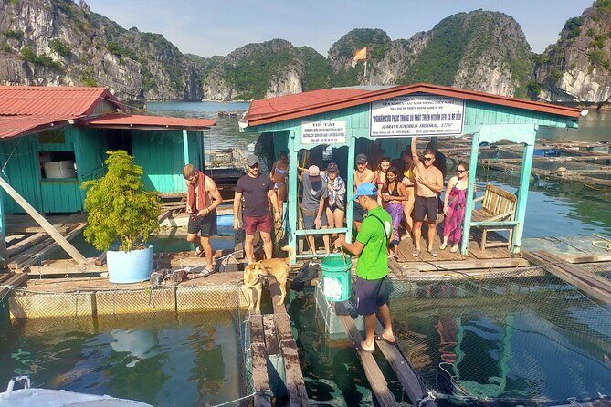 From Cat Ba island: full day boat tour to Lan Ha bay - Ha Long bay - What Makes This Tour Stand Out?