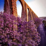 FROM CDMX and PUEBLA: Queretaro, Guanajuato, Hidalgo, Morelia 4 DAYS - Logistics and Value